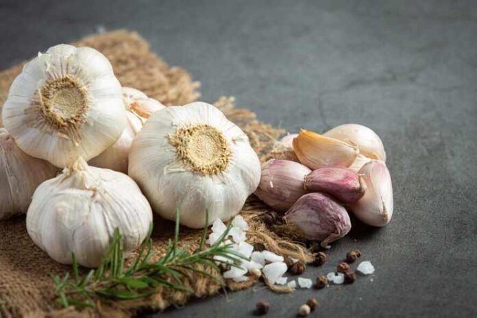How To Use Garlic Oil To Treat An Ear Infection