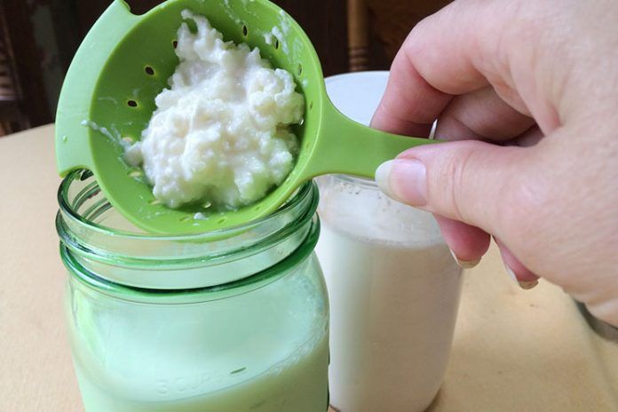 Best Kefir Benefits | Nutrition & Diet | Health Spectra