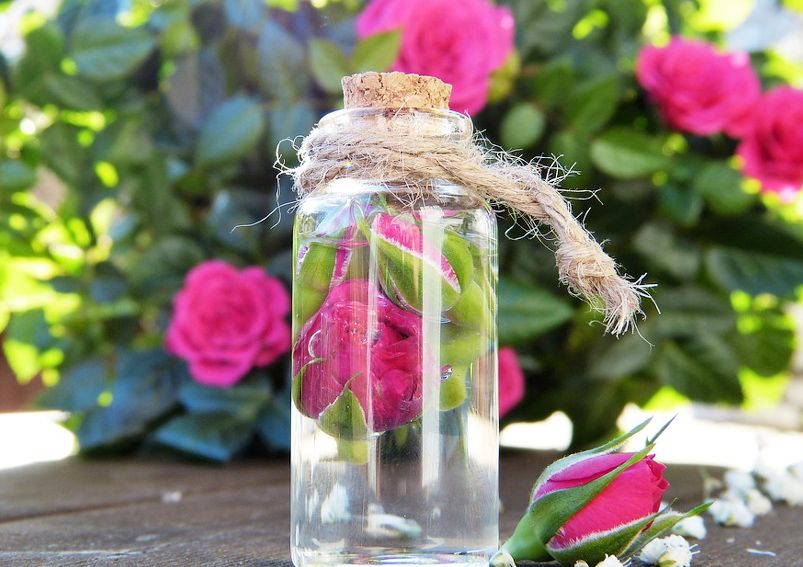 17 Infused water combinations and their benefits that you can’t miss out on