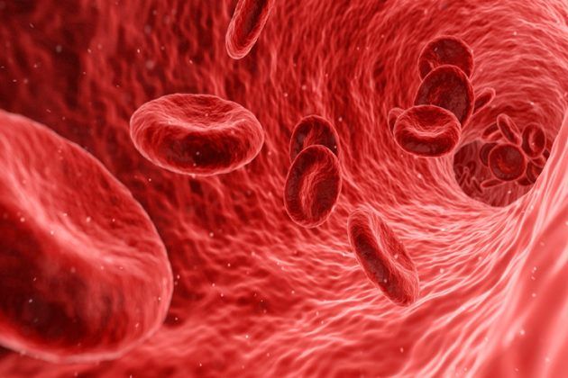 19 natural methods of blood cleansing that you didn’t know you needed ...