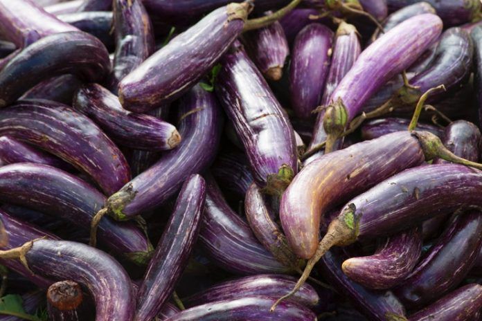 Nightshade Vegetables – Everything You Need To Know - HealthSpectra