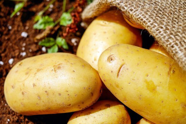 Nightshade Vegetables – Everything You Need To Know - HealthSpectra