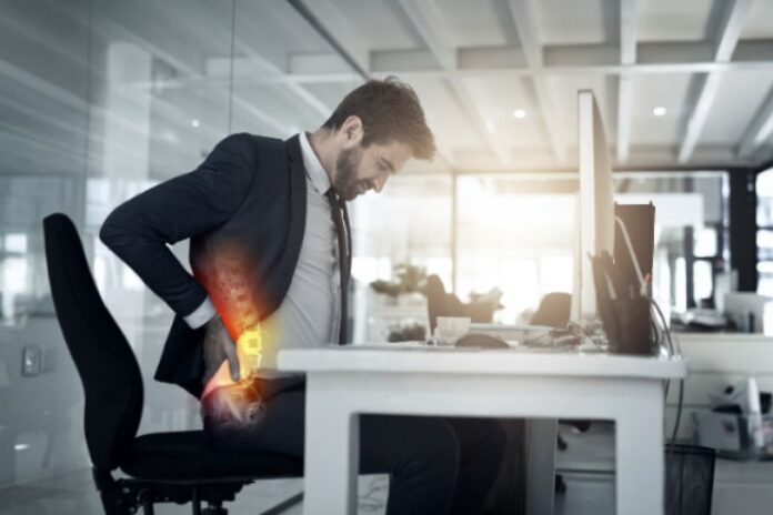 10 Best Posture Support Products for Work: Ergonomic Must-Haves