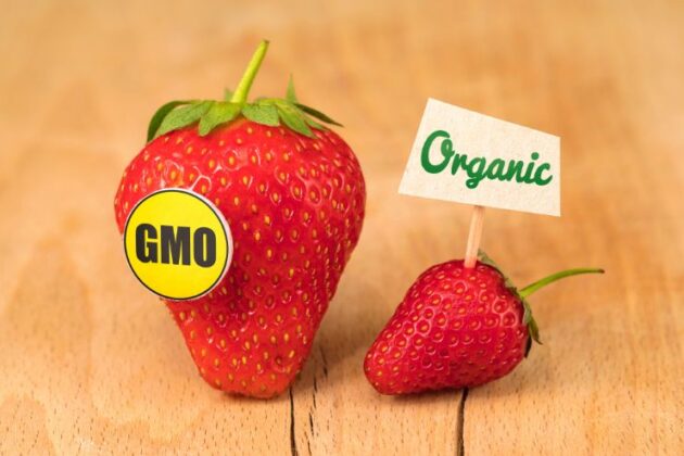 Are Hybrid Fruits Healthier? What You Need to Know About Crossbred Produce