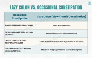 What Is a Lazy Colon? Causes, Symptoms, and How to Fix It