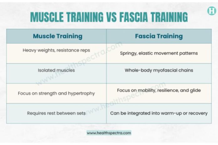 How Fascia Training Is Becoming the Next Big Thing in Recovery Fitness