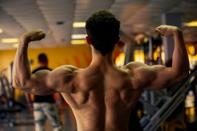 Biceps vs. Triceps: Which Muscle Group Really Makes Your Arms Look Bigger?