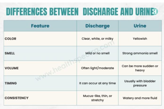Watery Discharge That Feels Like Pee: Early Pregnancy Symptom or a Red ...
