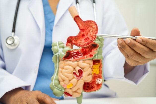Why Your Digestive System Slows Down After 8 PM - And How to Support It ...