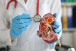 Foamy Urine: What It Means About Your Kidney Health