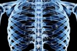 Understanding the Wide Ribcage: Causes, Implications, and Management