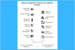 How Long Does Food Stay in Your Stomach? | Stomach Emptying Time ...