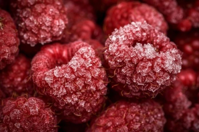 Freezer Burn Explained: What It Is, Why It Happens & Smart Ways to ...