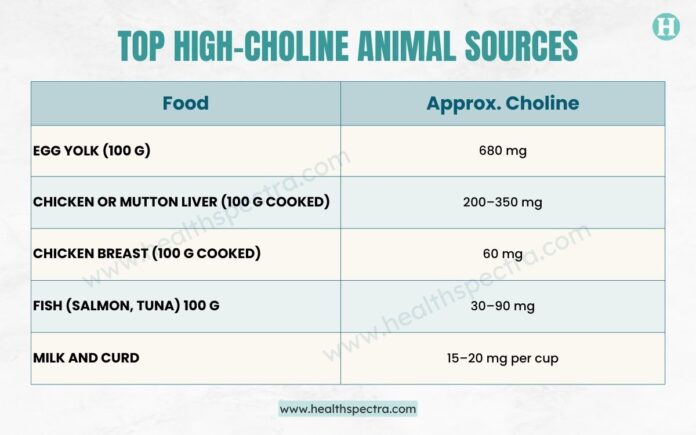 How Much Choline Do You Need During Pregnancy? Benefits, Sources ...